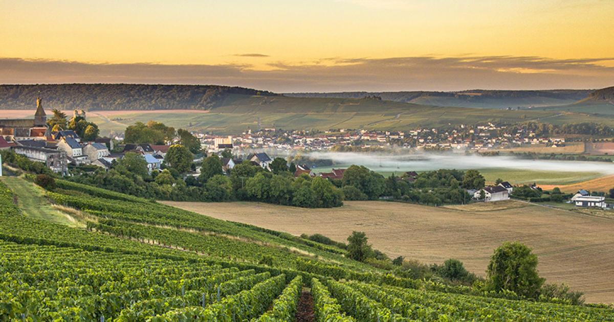 Location de vacances Marne | Gîtes de France®