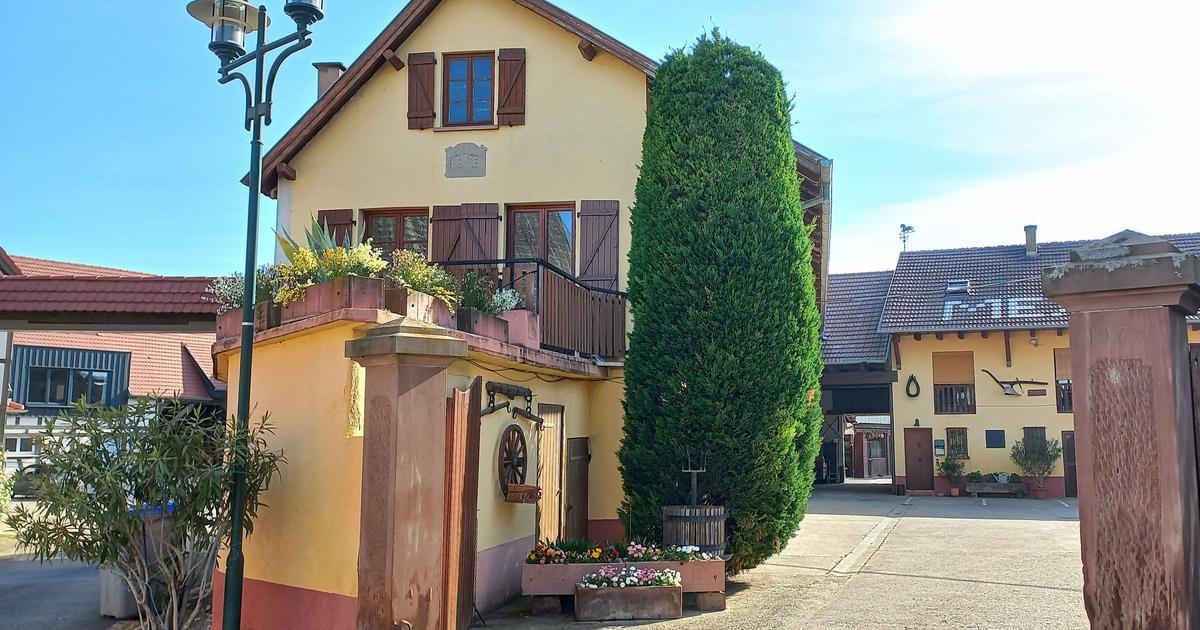 Gîte - Gîte de la Famille MEY (G1153) - OBERSCHAEFFOLSHEIM, Grand Est ...