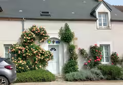 La Carentinoise - Cher