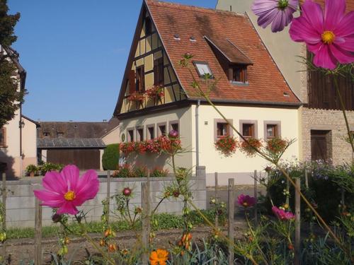 Le Cosy - Benfeld