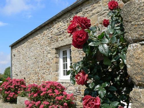 Gîte 29g2310 Ty Roz - Carantec
